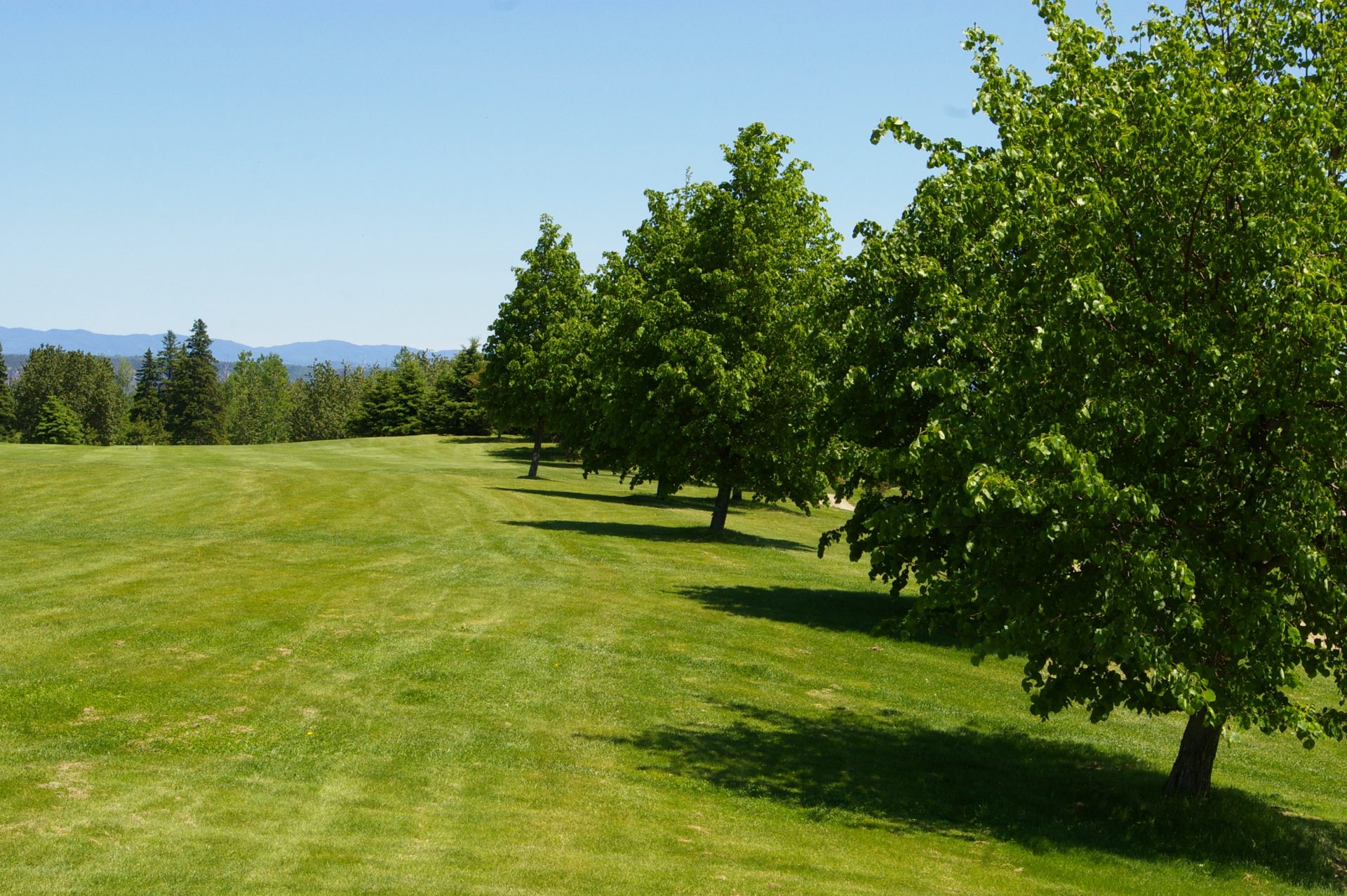 Nos 18 trous - Club de Golf Port-Alfred